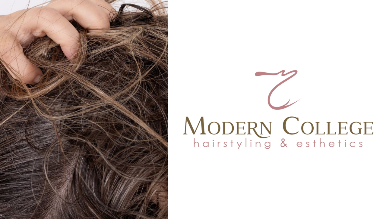 Bugs? No Thank you: How to Prevent and Treat Head Lice – Modern College